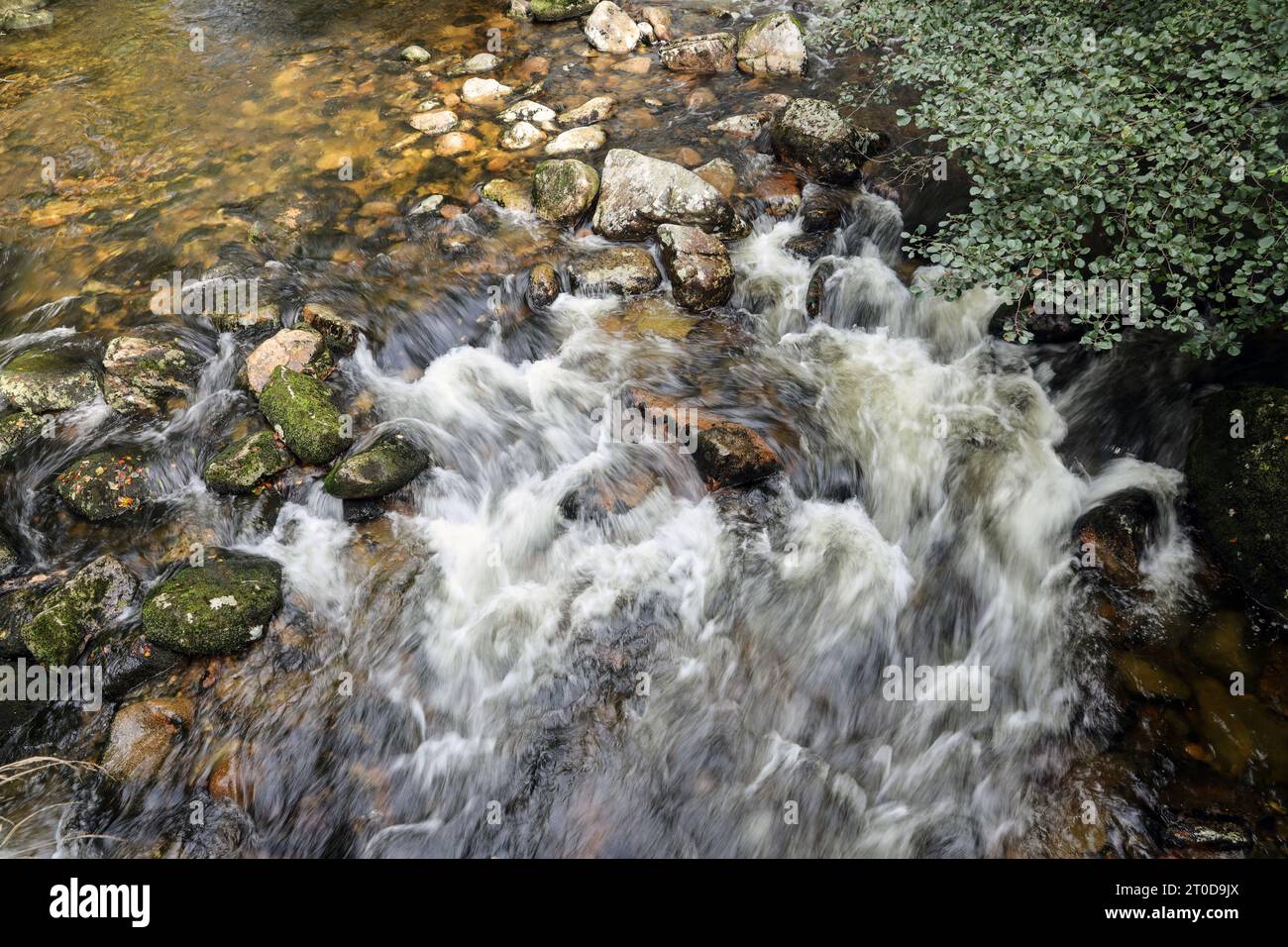 River Plym in Devon with flowing water Stock Photo - Alamy