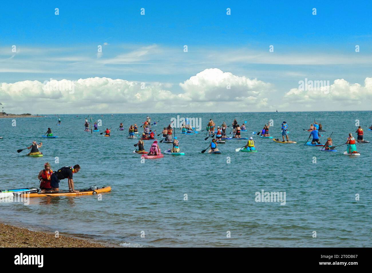 Sea Adventure: Group Paddle boarding Stock Photo - Alamy