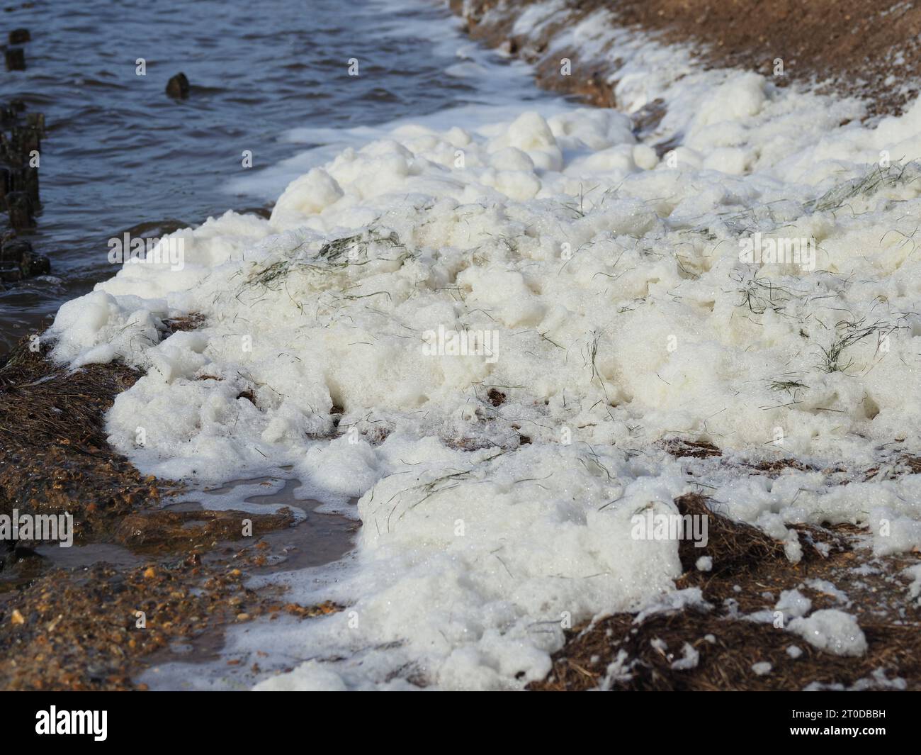 Sheerness, Kent, UK. 6th Oct, 2023. UK Weather: a large quantity of ...