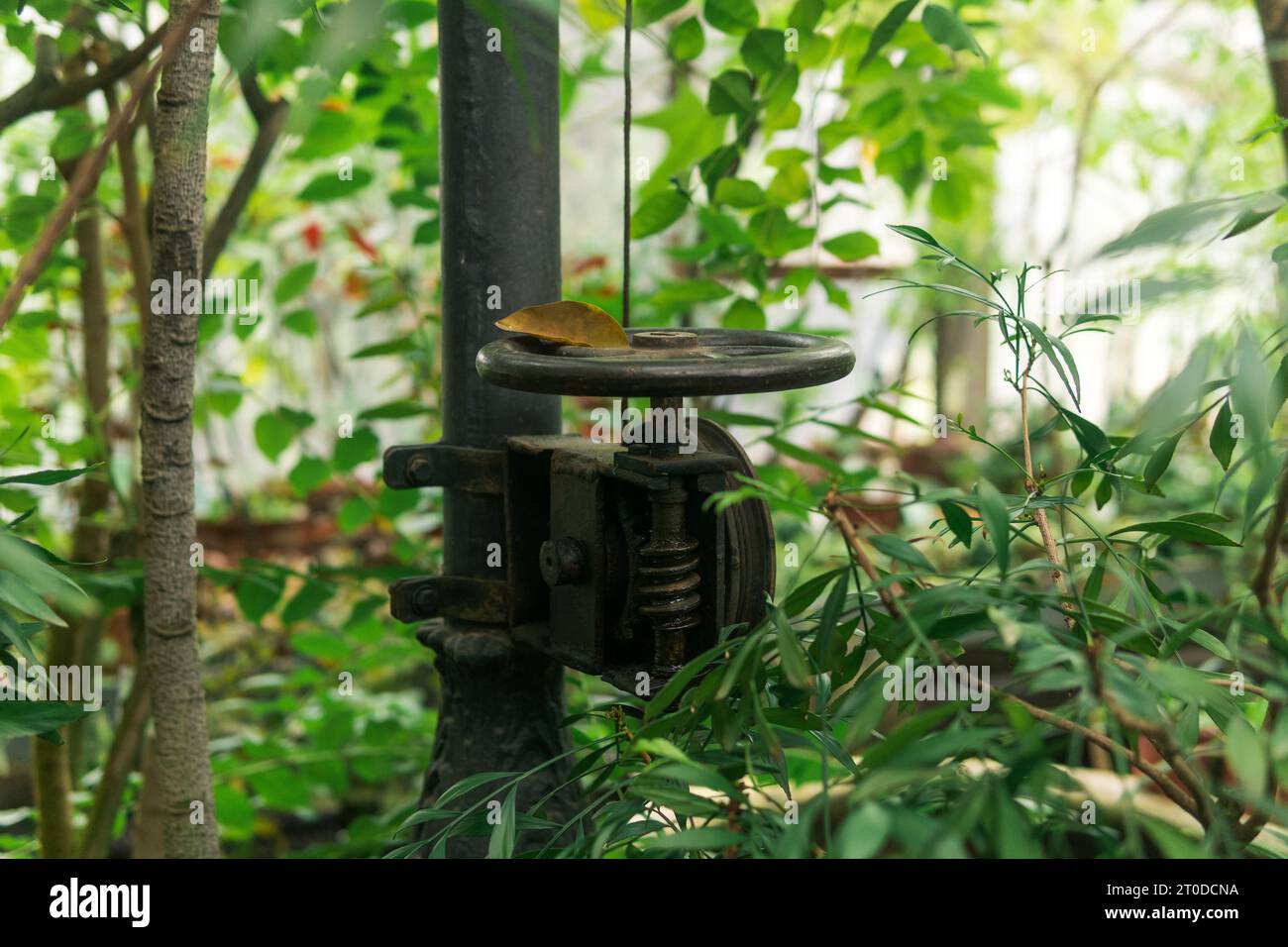 Opening a greenhouse window hi-res stock photography and images - Alamy