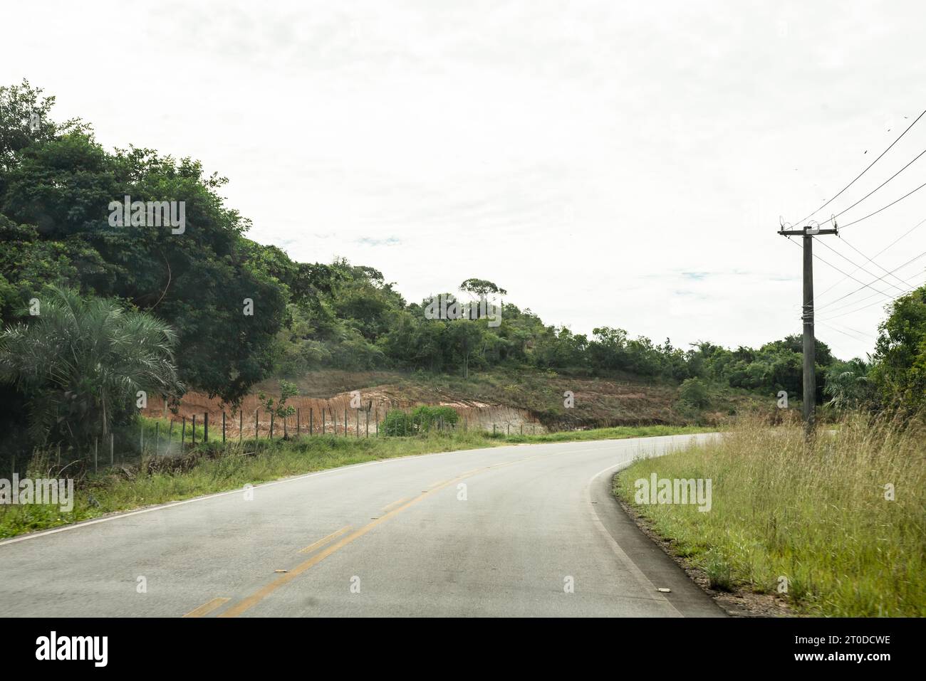View of an asphalt road connecting two cities in Bahia, Brazil. Dense ...