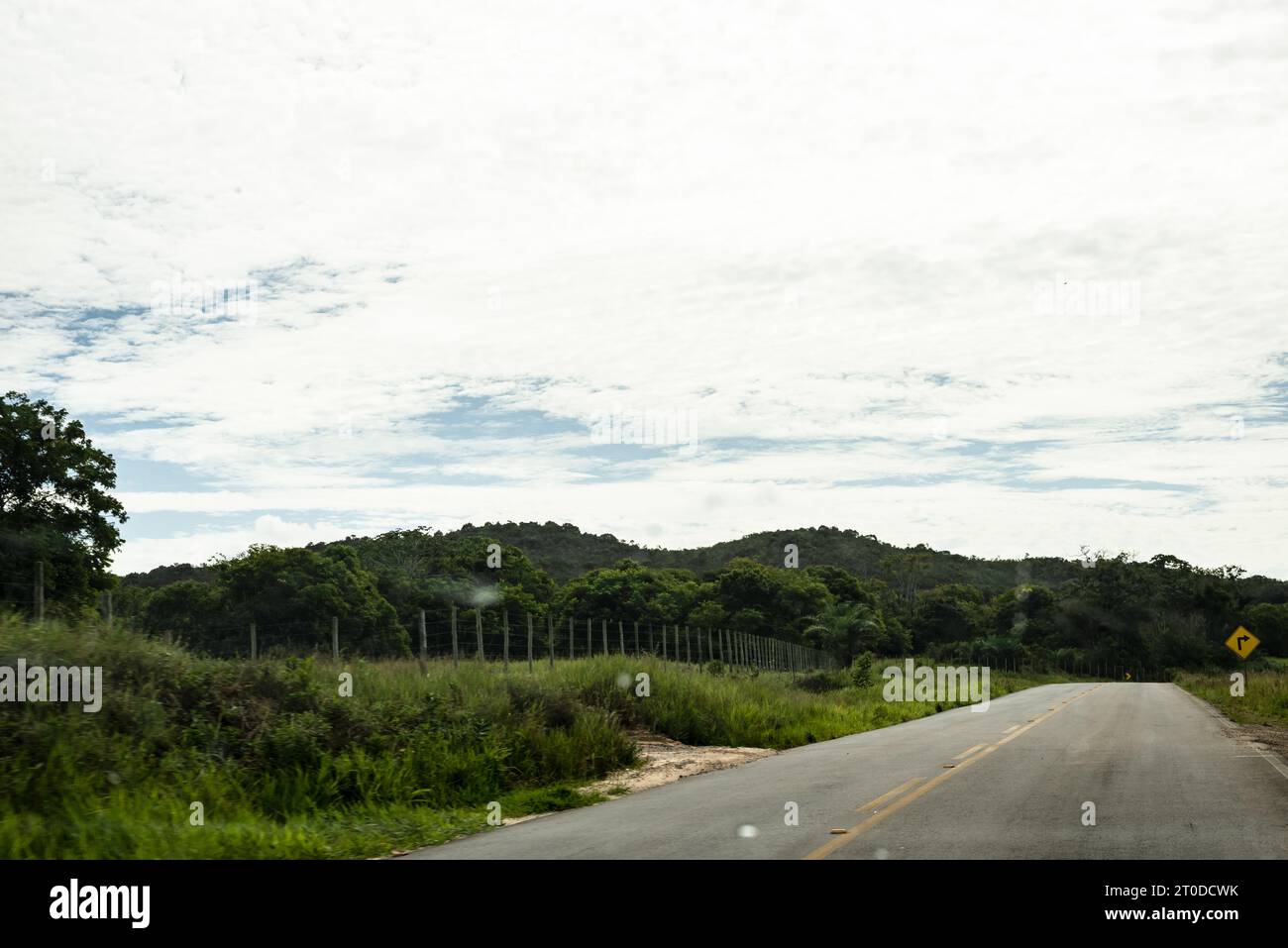 View of an asphalt road connecting two cities in Bahia, Brazil. Dense ...