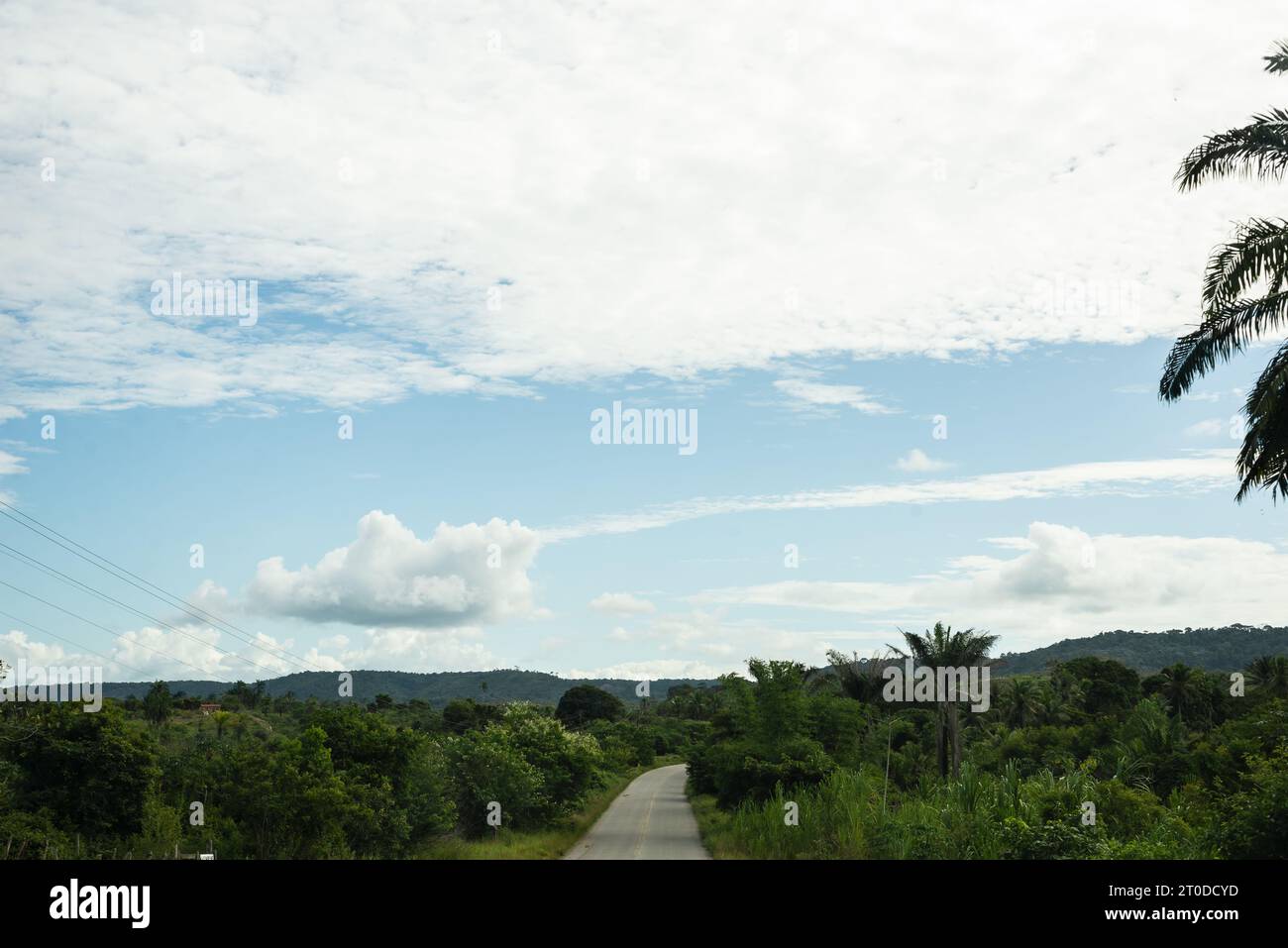 An asphalt road surrounded by dense, green forest against blue sky with ...