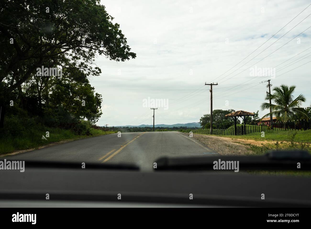 Green and dense forest on both sides of an asphalt road that connects ...