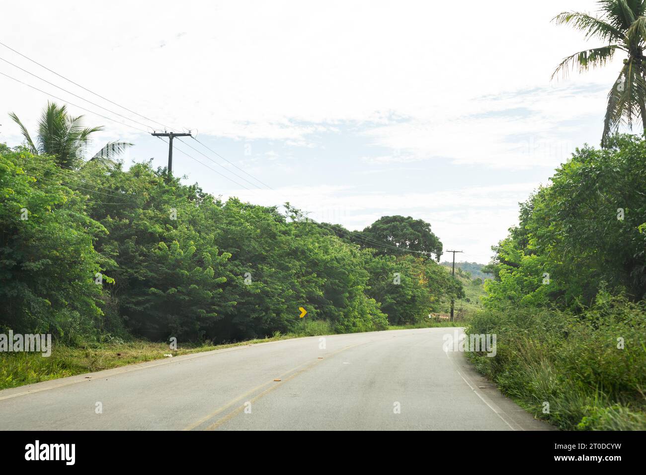 An asphalt road surrounded by dense, green forest against blue sky with ...