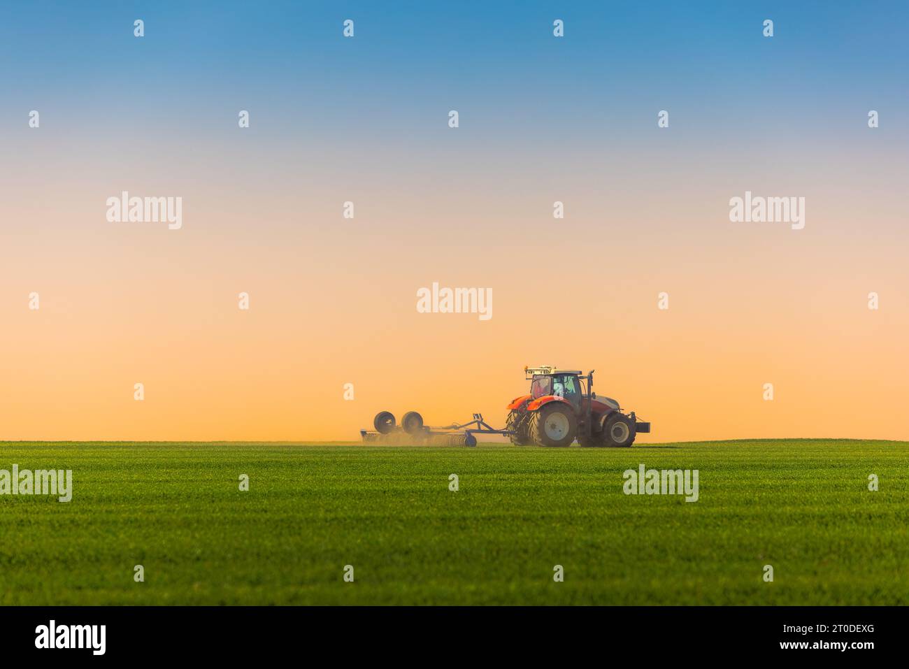 Tractor with a roller tillage on spring field. Soil rolling supports ...