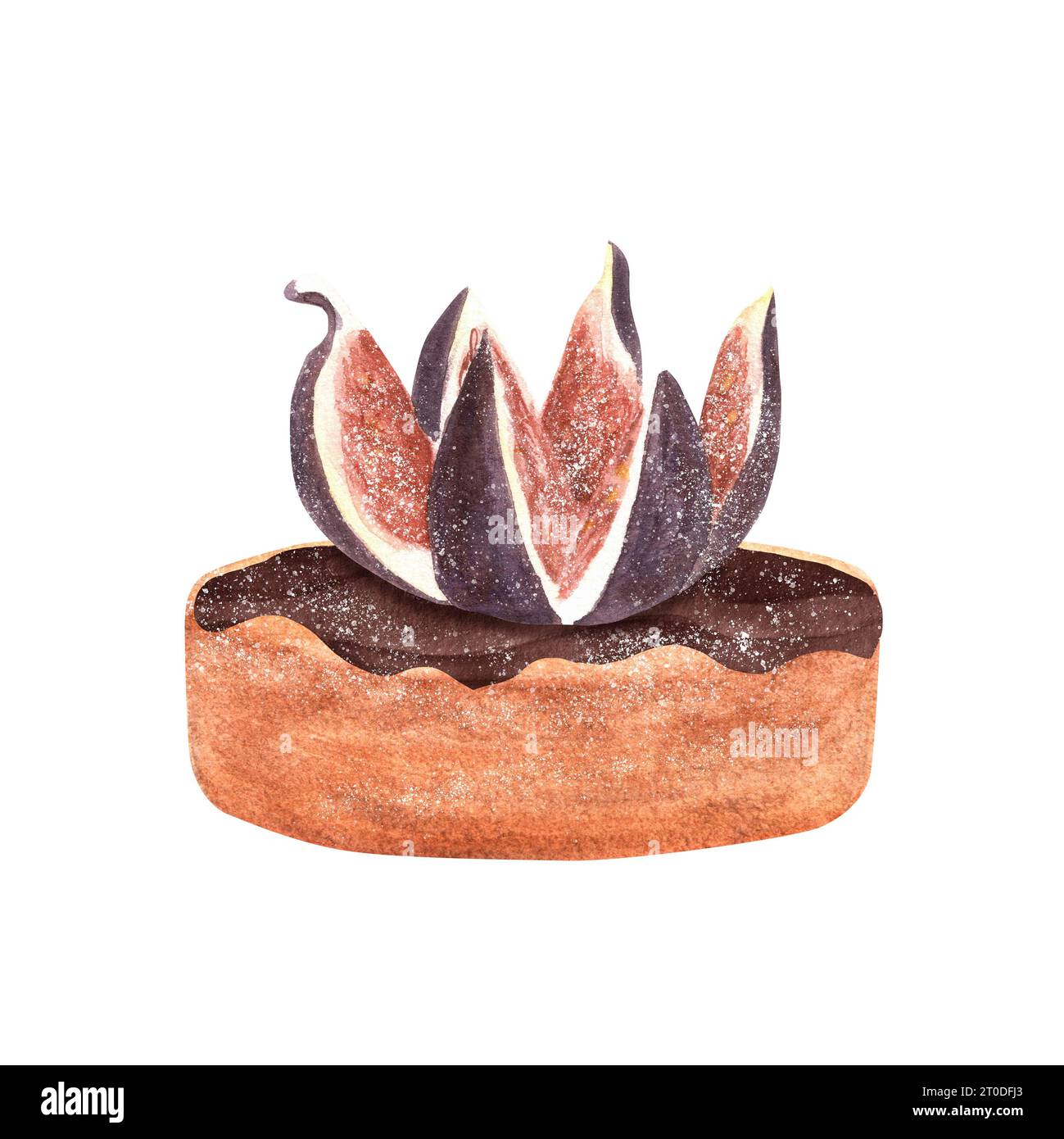 Hand-drawn watercolor illustration. A cake with fig syrup and fresh fig ...