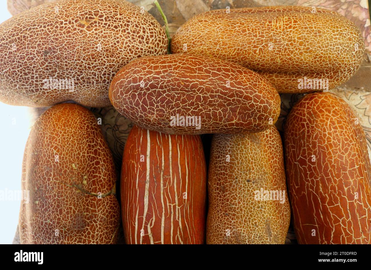 texture of the peel of overripe cucumbers with white dry veins and a ...