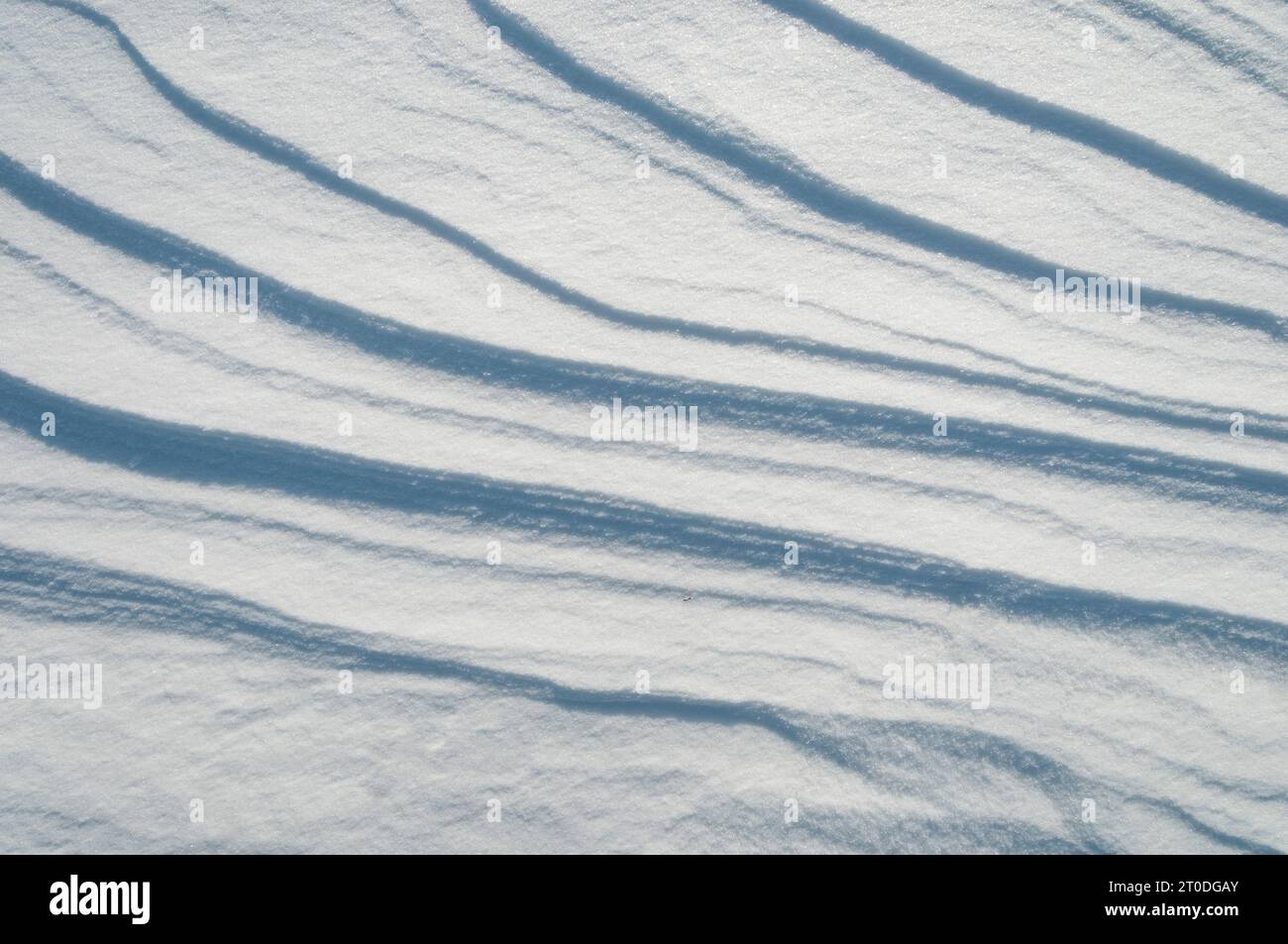 Natural snow drift texture. White snow carpet with wind waves Stock ...