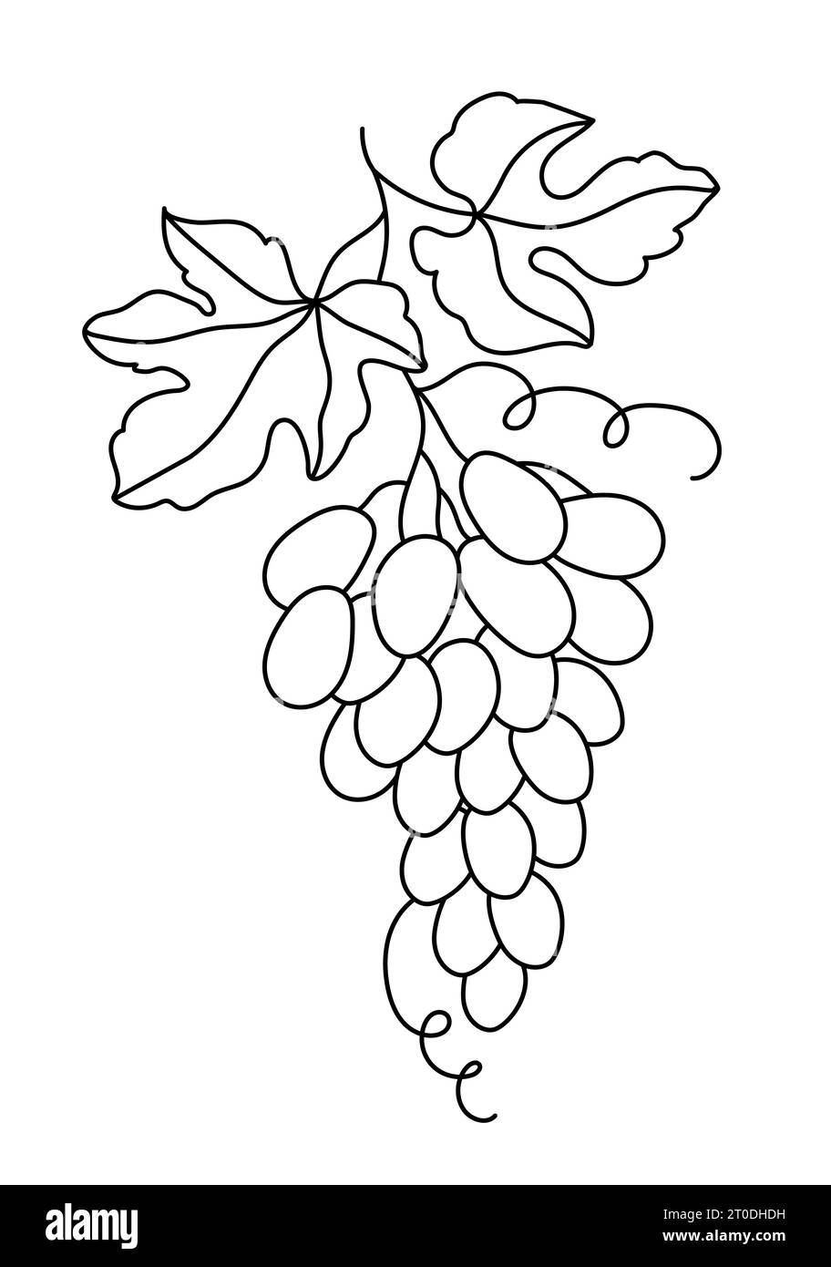 Grapes Handout at Phoebe Reddall blog