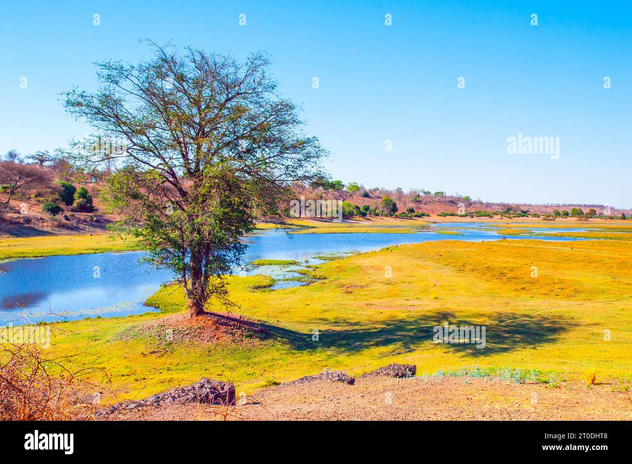 Kasane, namibia hi-res stock photography and images - Alamy