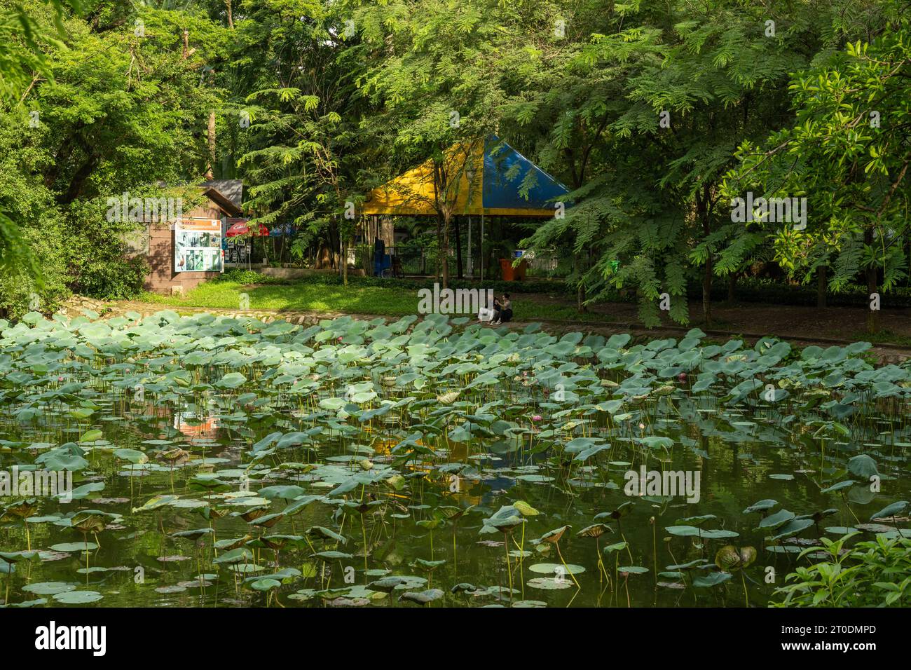 A couple relaxing by the lake in the sunshine at Saigon Zoo and ...