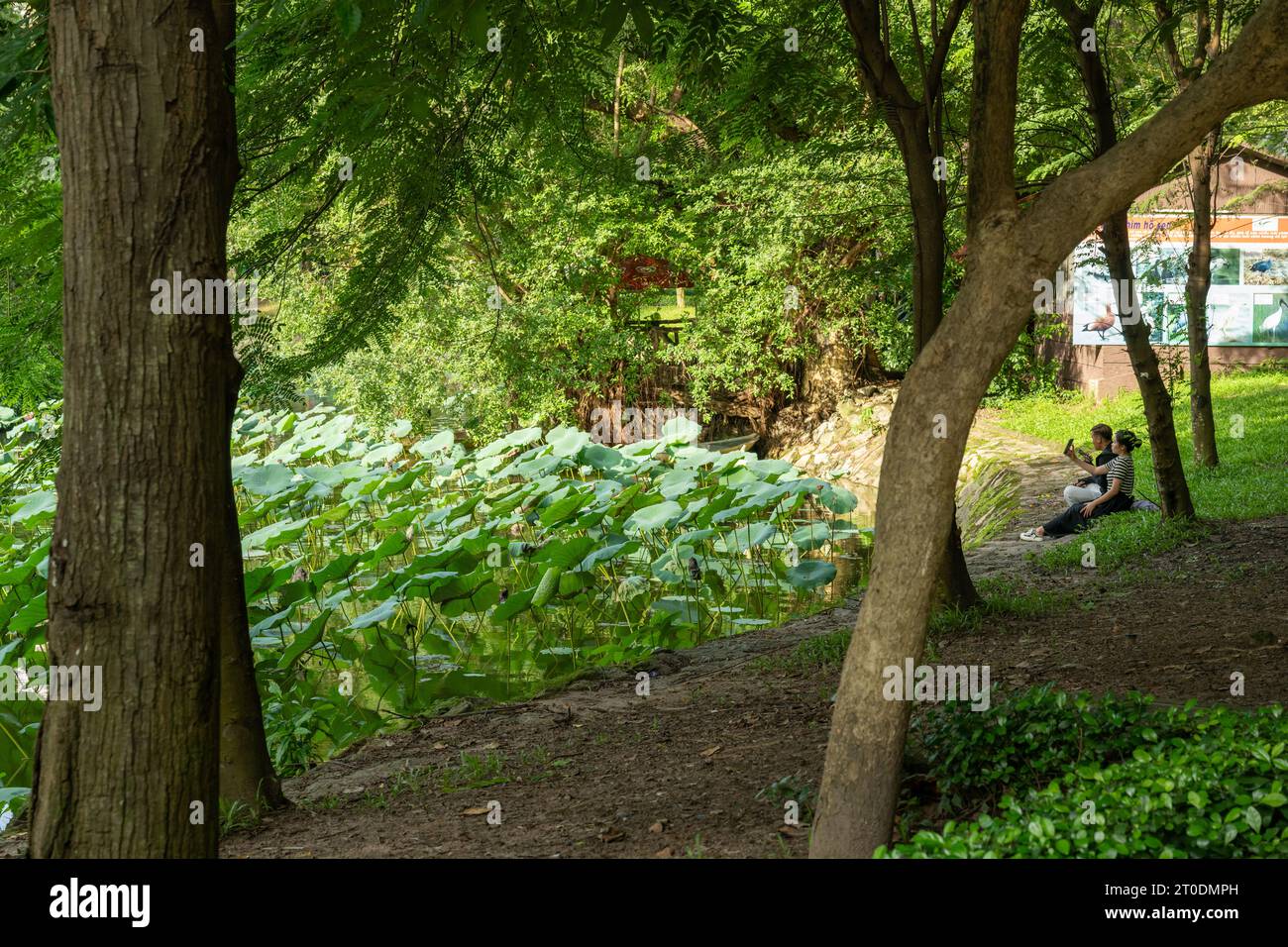 A couple relaxing by the lake in the sunshine at Saigon Zoo and ...