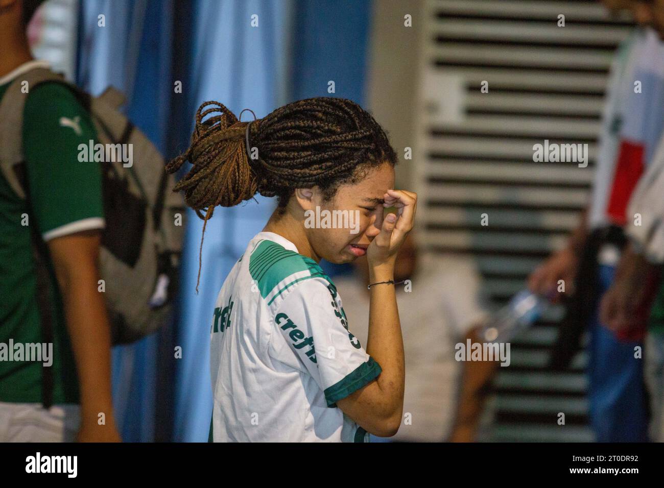 Boca palmeiras 2023 hi-res stock photography and images - Alamy