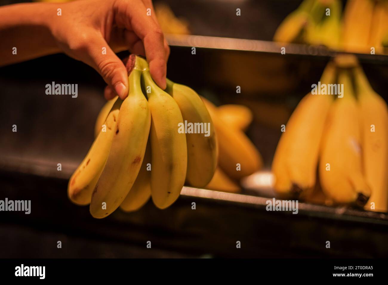 Bananas on display at a grocery store hi-res stock photography and ...