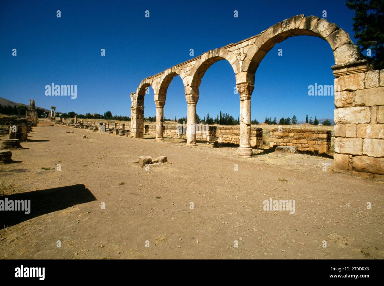 Umayyad style hi-res stock photography and images - Alamy