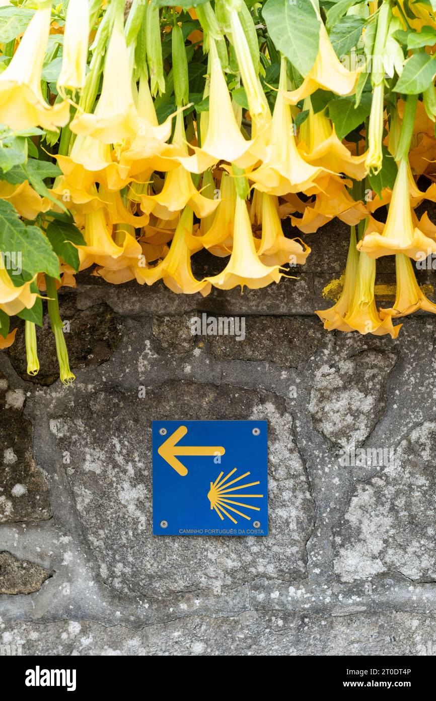 Portuguese camino coastal route marker hi-res stock photography and ...