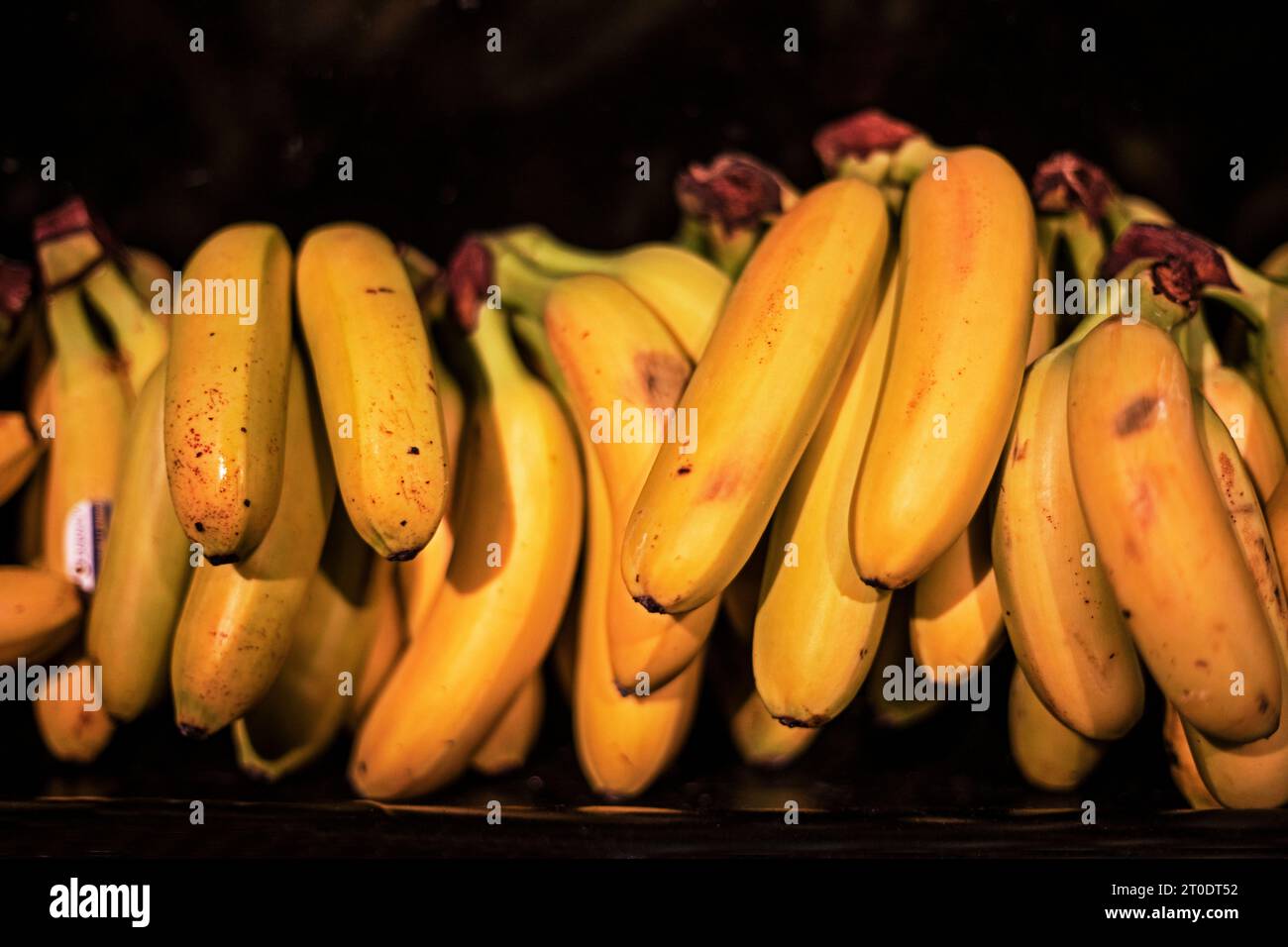 ripe bananas on display in a supermarket Stock Photo - Alamy