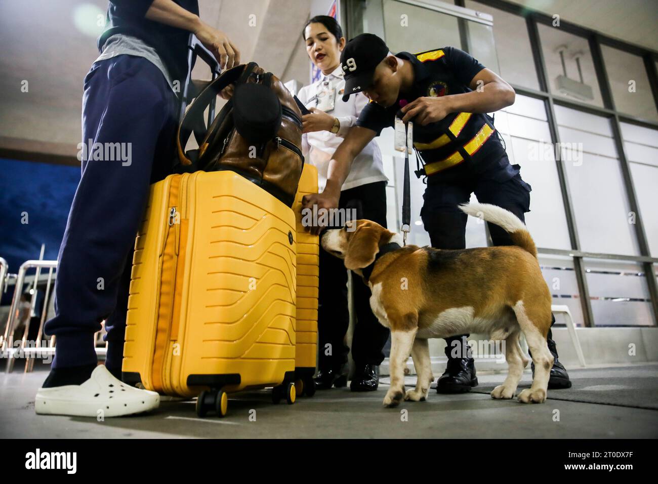 Pasay City, Philippines. 6th Oct, 2023. A bomb-sniffing dog from the K9 ...