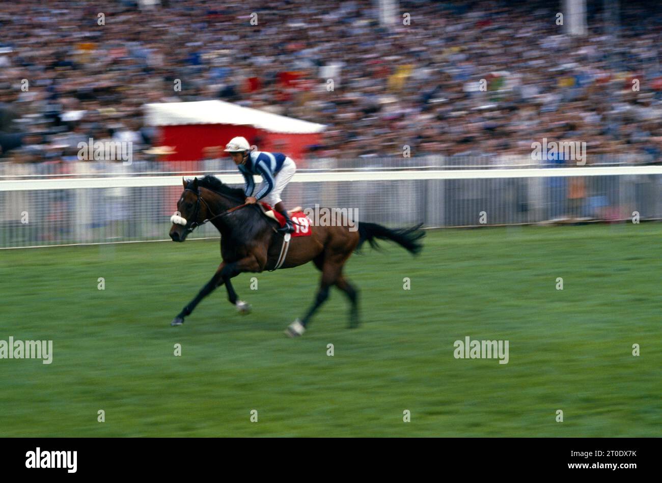 Epsom Surrey England Epsom Derby 1986 Horse & Jockey Stock Photo - Alamy