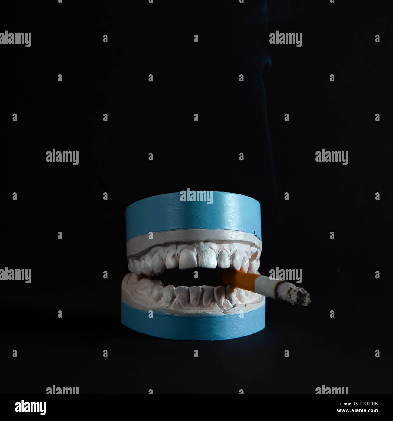Plaster model of the jaw with a cigarette on a black background ...