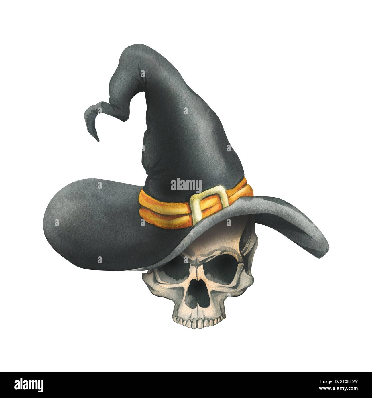 Human skull in black witch hat with orange ribbon and gold buckle for ...