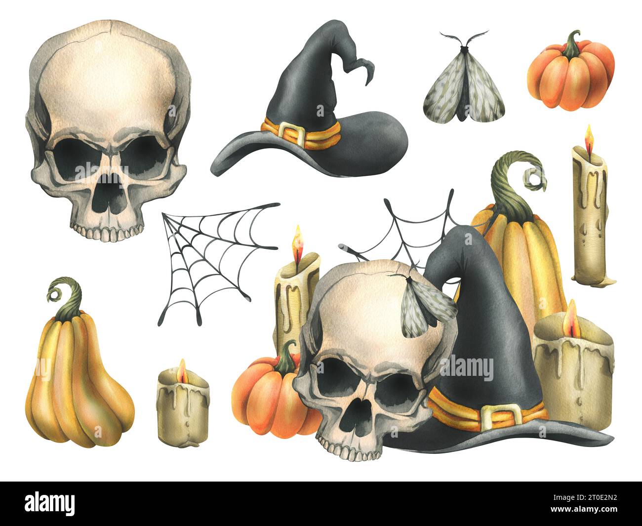 Human skull with black witch hat, orange pumpkins, cobwebs, candles ...