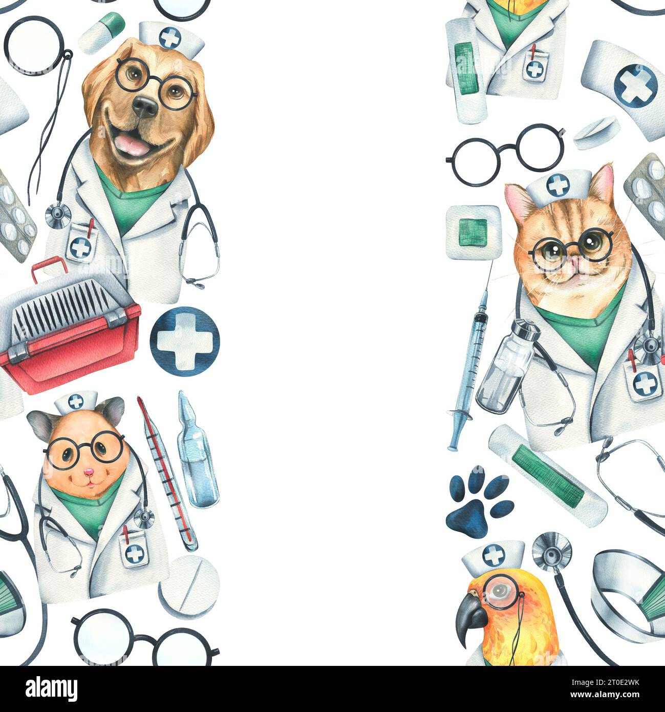 Veterinary doctors hamster, dog, cat, parrot, pet carrier, medicines ...