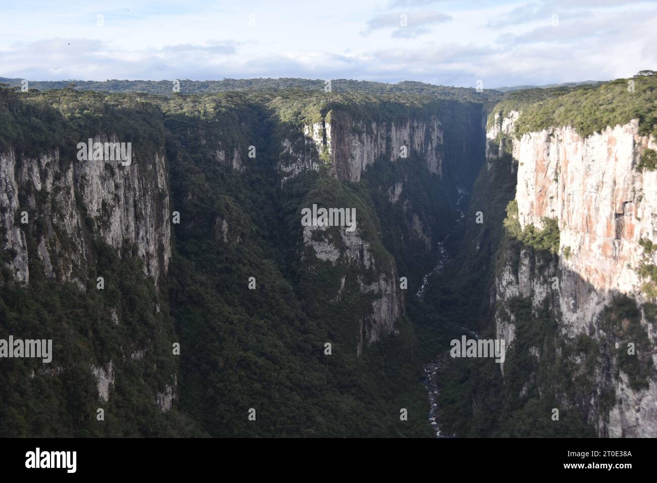 Cambará do sul brazil hi-res stock photography and images - Alamy