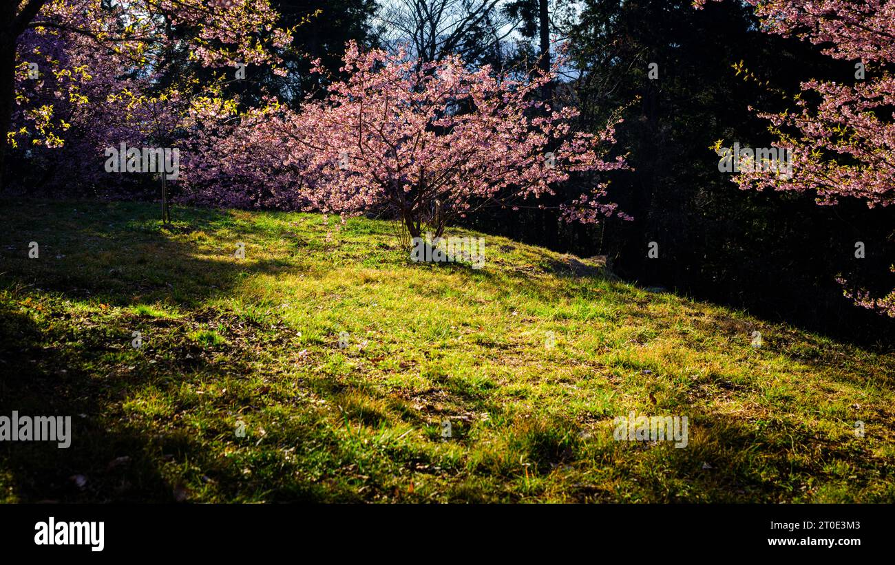 This shot is a good example of how much green, grassy areas the park ...