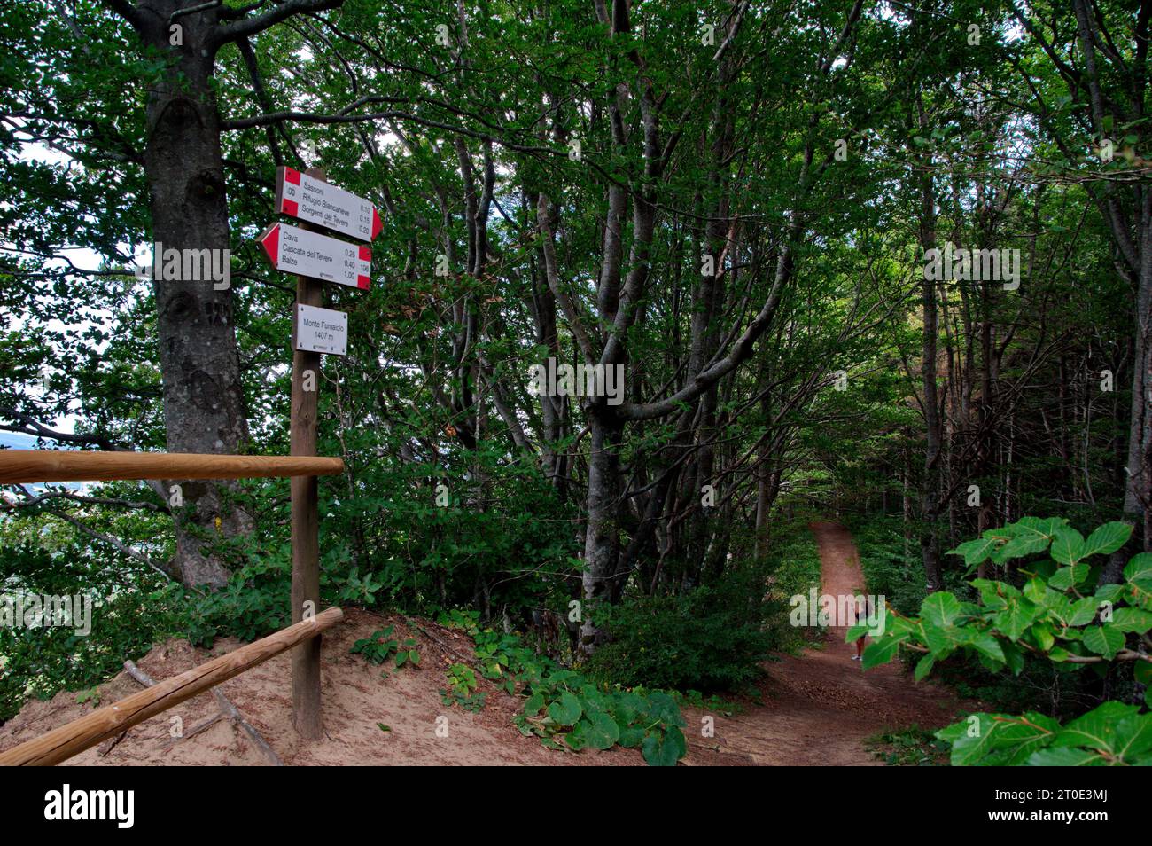 Cartelli per hi-res stock photography and images - Alamy