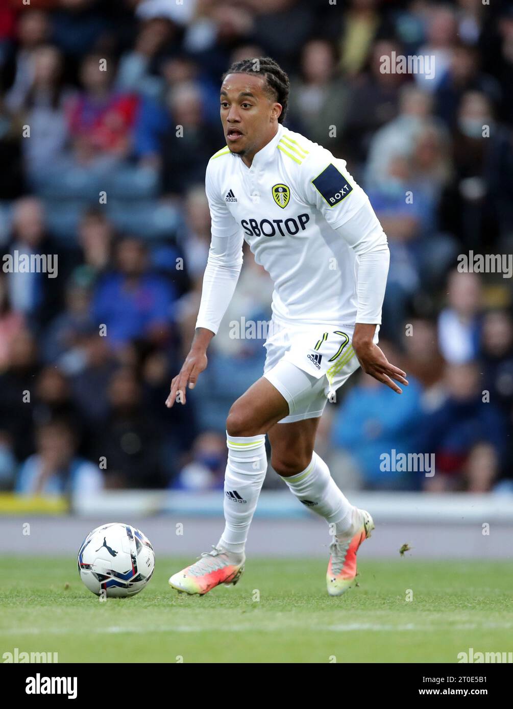 Helder costa 2023 hi-res stock photography and images - Alamy