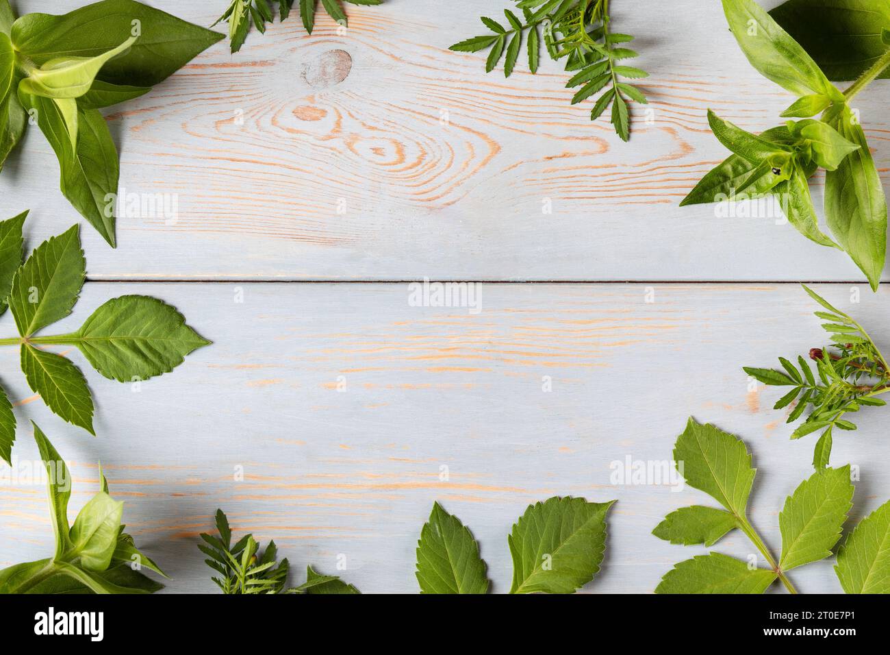 Beautiful place made wooden hi-res stock photography and images - Alamy