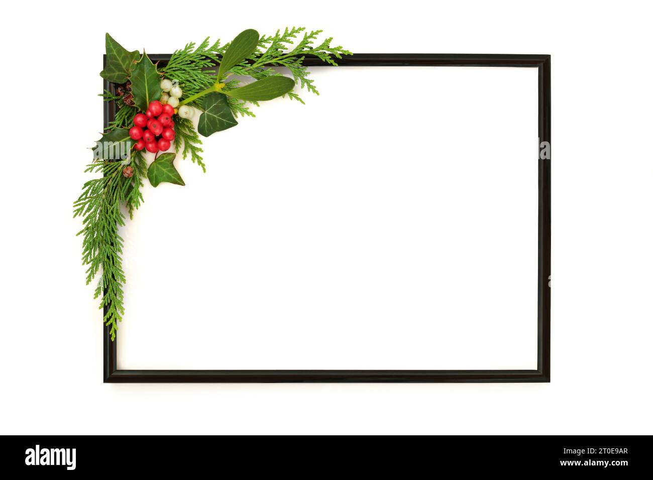 Christmas background flora frame, holly, mistletoe, ivy, traditional ...