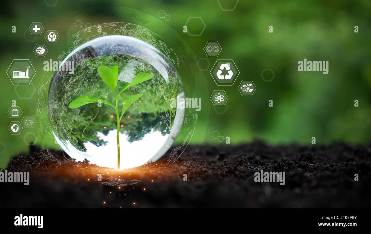 Concept of renewable energy, environmental protection, and sustainable ...