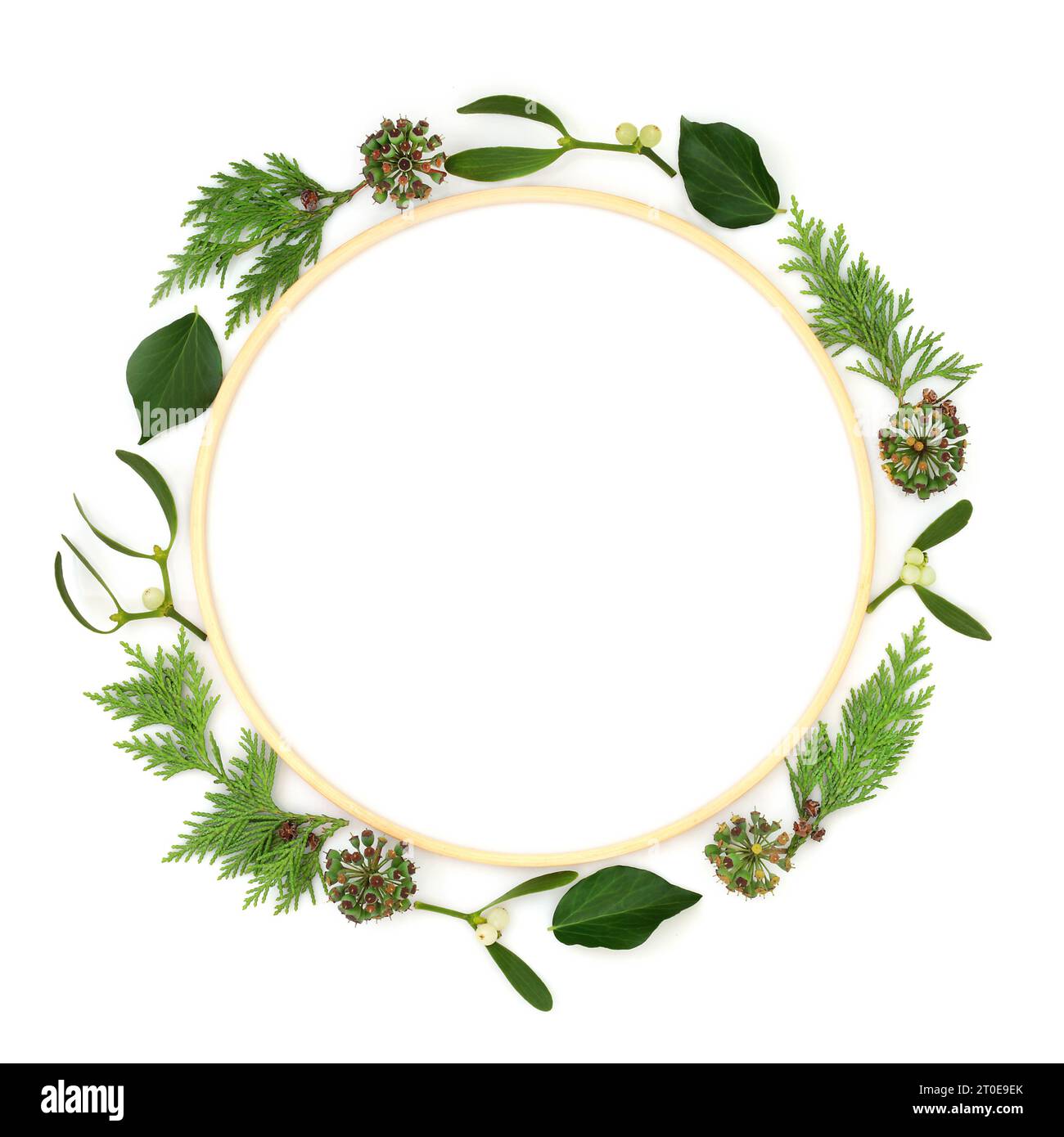 Christmas winter greenery abstract Cut Out Stock Images & Pictures - Alamy