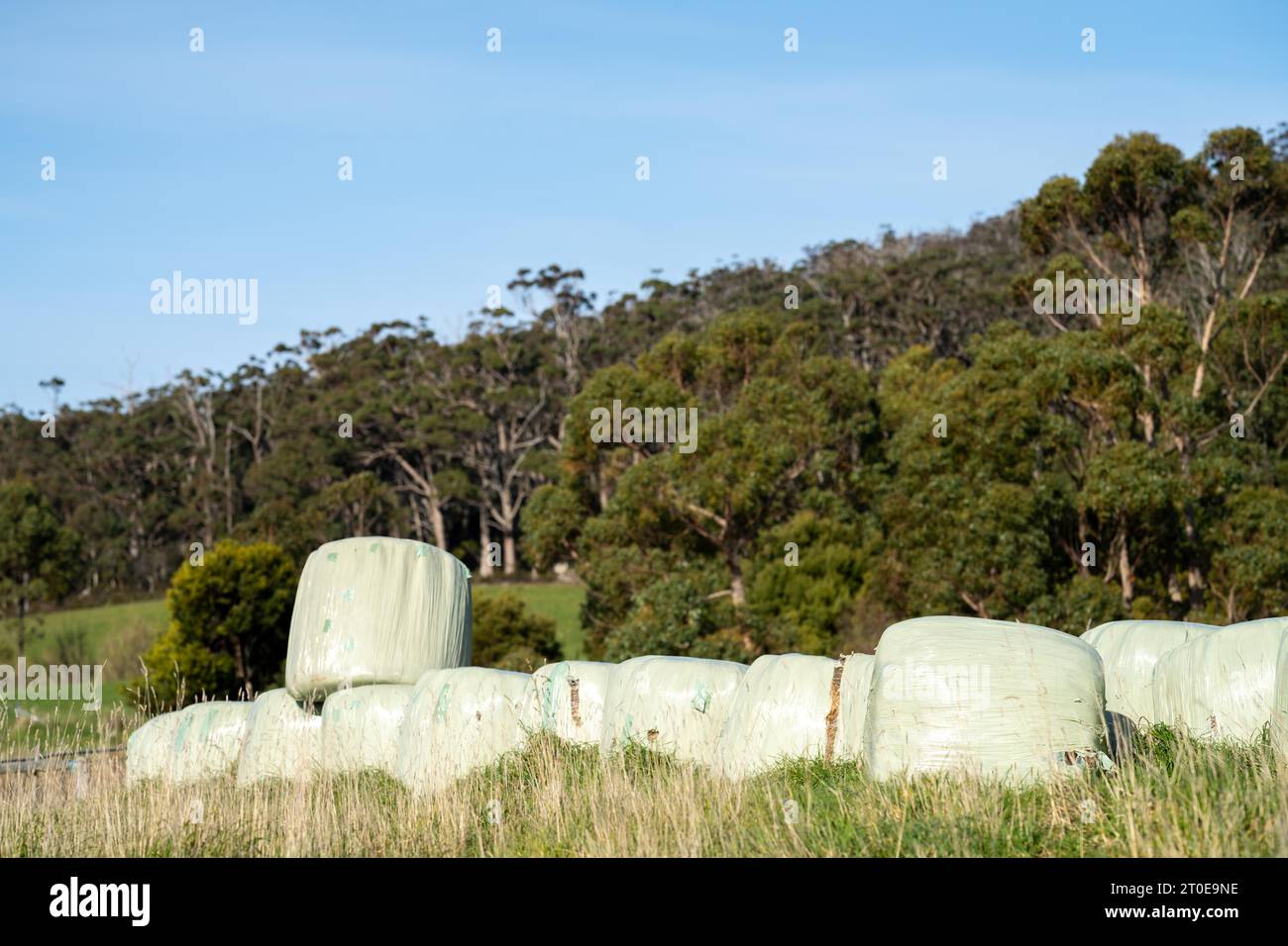 China uk plastic hi-res stock photography and images - Alamy