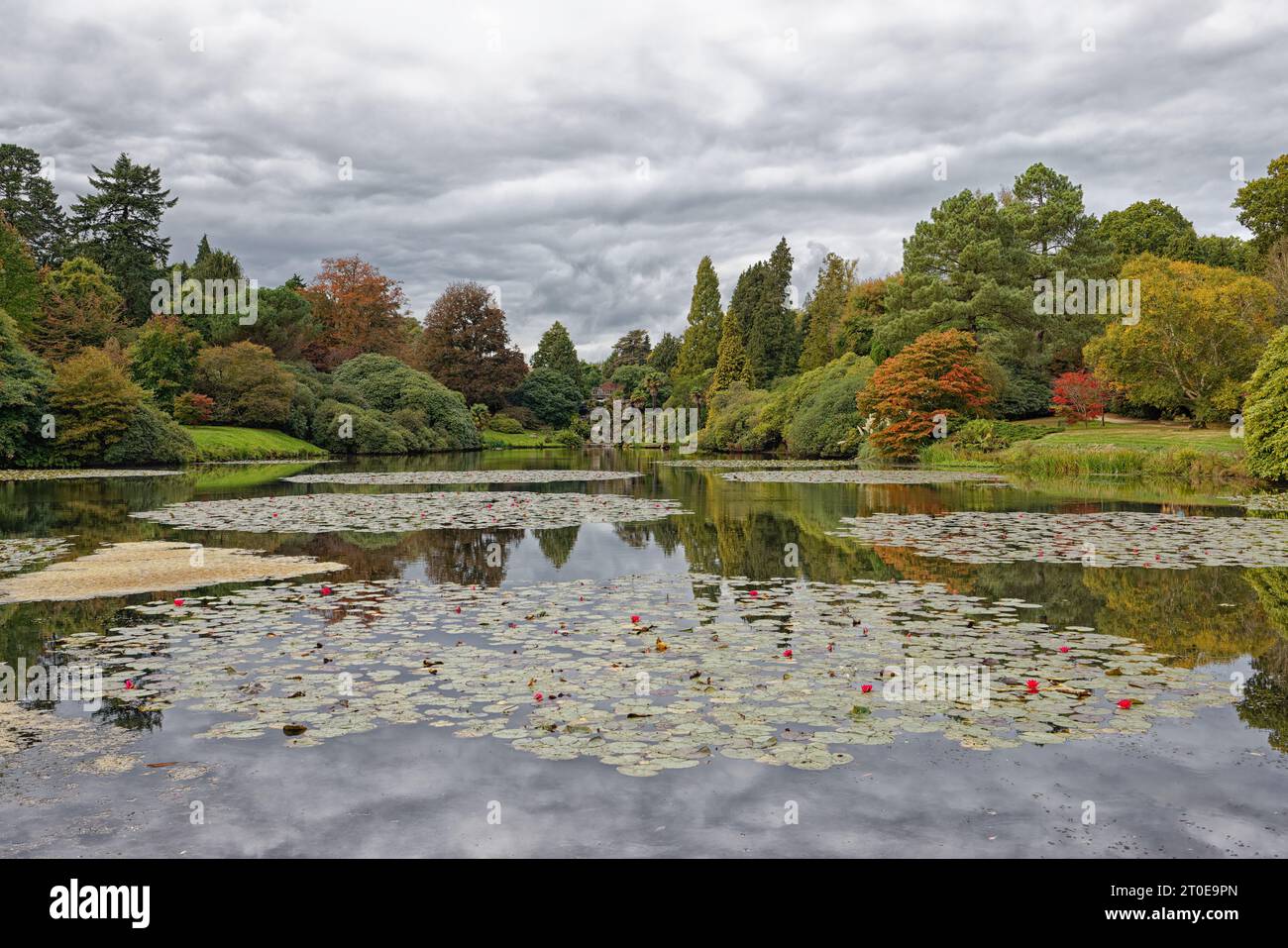 Sheffield Park East Sussex England UK Stock Photo - Alamy
