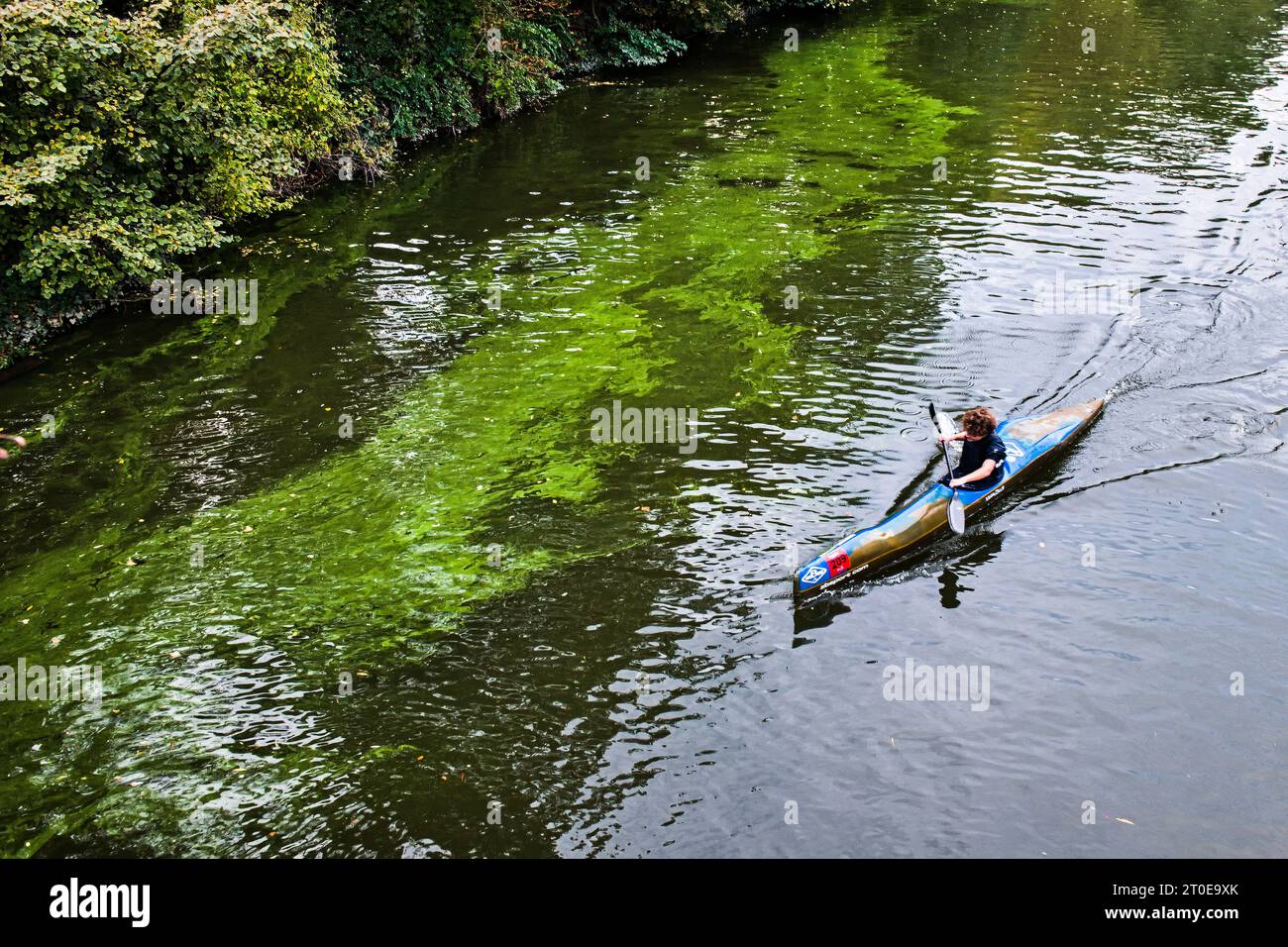 Brno, Czech Republic. 05th Oct, 2023. Cyanobacteria cover the surface ...