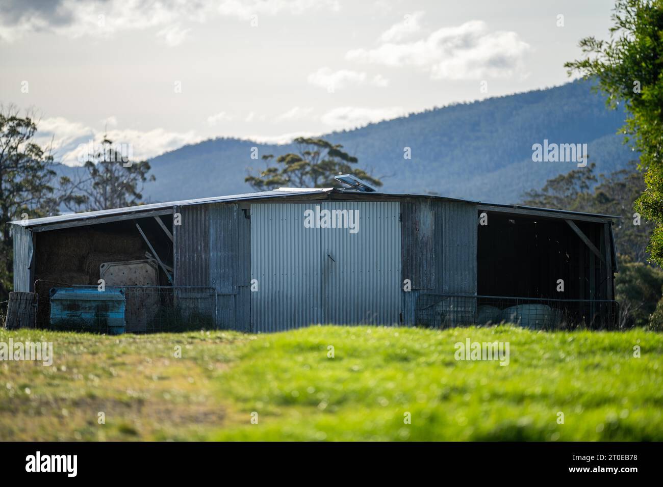 English farm cattle shed hi-res stock photography and images - Alamy