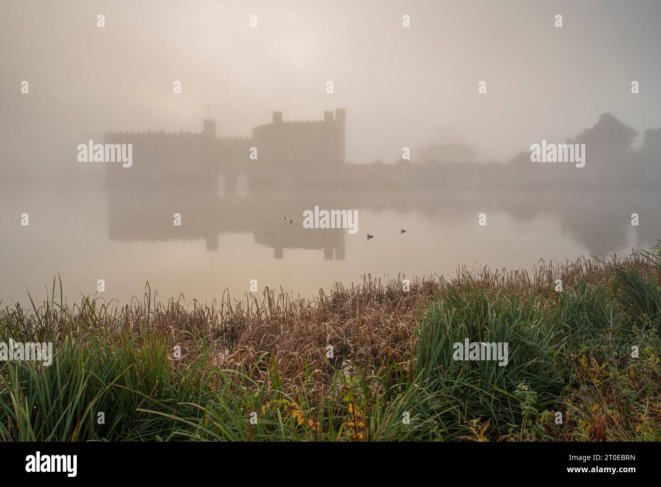 Leeds Castle and moat at dawn in the mist, Kent, England, UK Stock ...