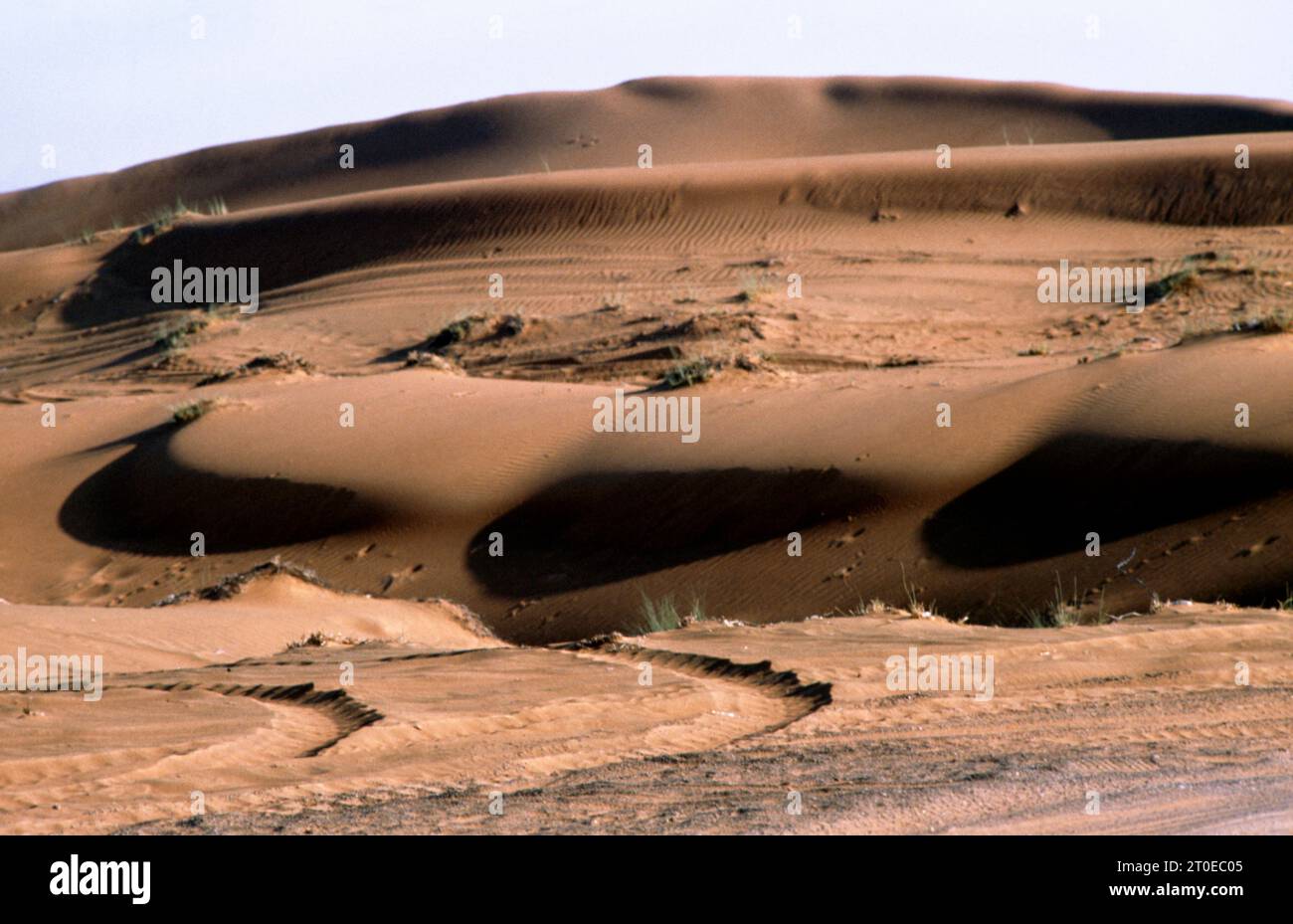 Abu Dhabi UAE Desert Near Al Ain Sand Dunes Stock Photo - Alamy