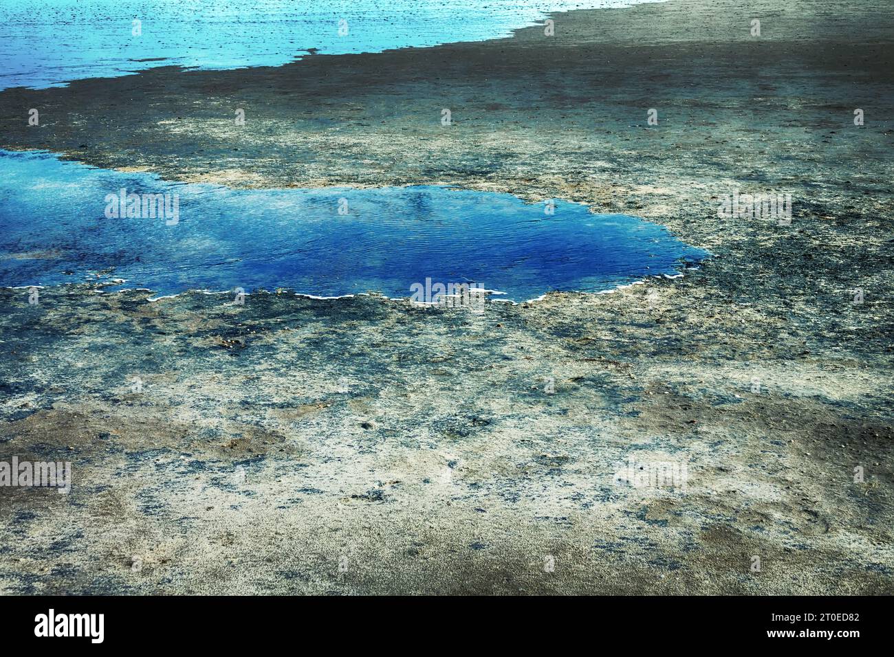 Wind-induced water level fluctuations in the salty shallow bays of the ...