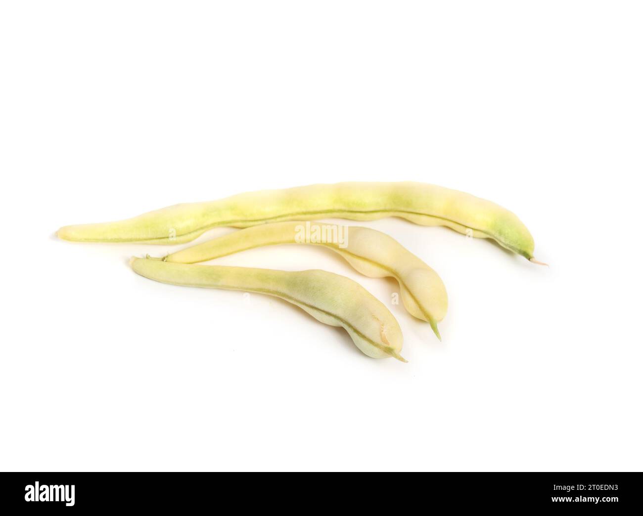 Forming seed pod Cut Out Stock Images & Pictures - Alamy