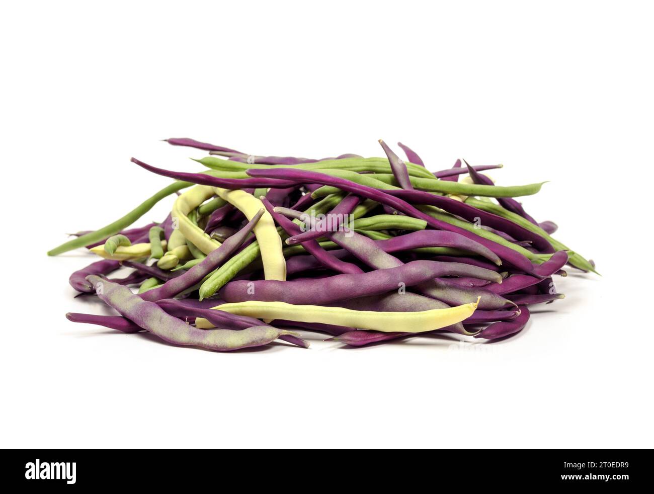 Fresh picked blue purple Cut Out Stock Images & Pictures - Alamy