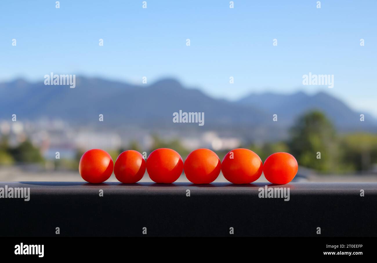Red cherry tomatoes harvested from roof garden with mountain scenery ...