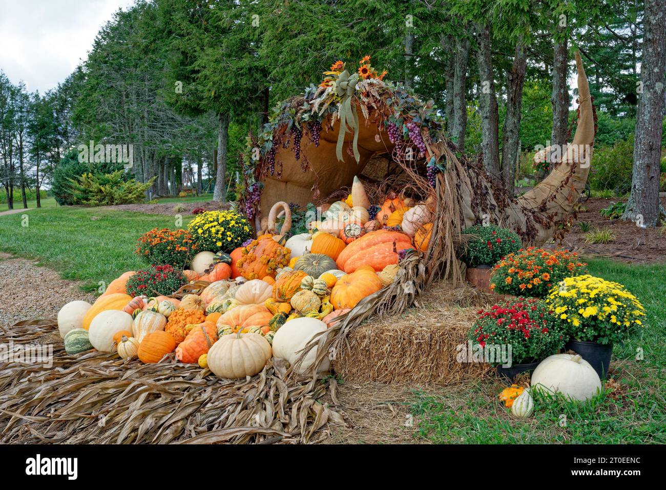 Cornucopia display hi-res stock photography and images - Alamy