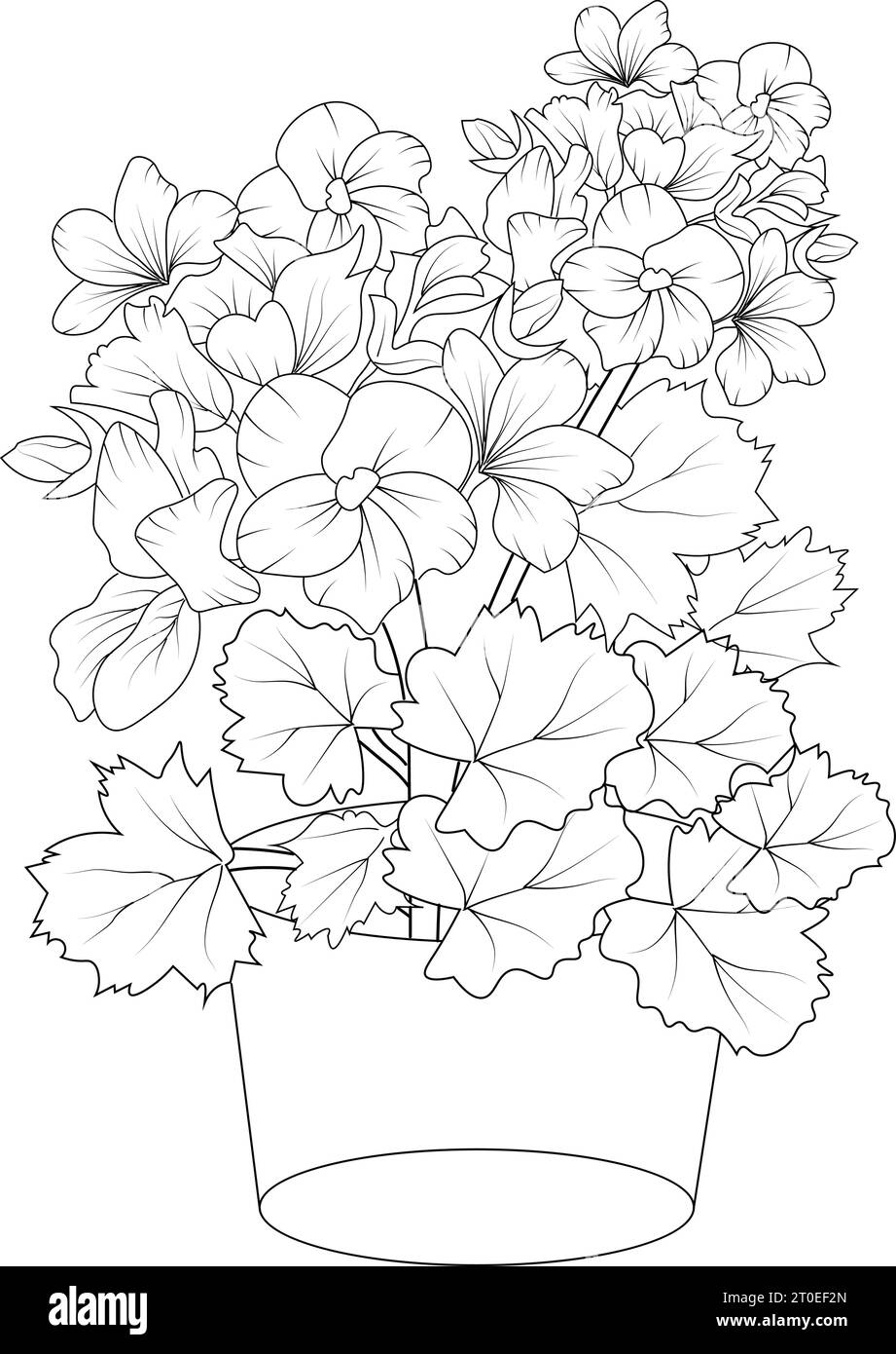 White drawing vector vectors Black and White Stock Photos & Images - Alamy