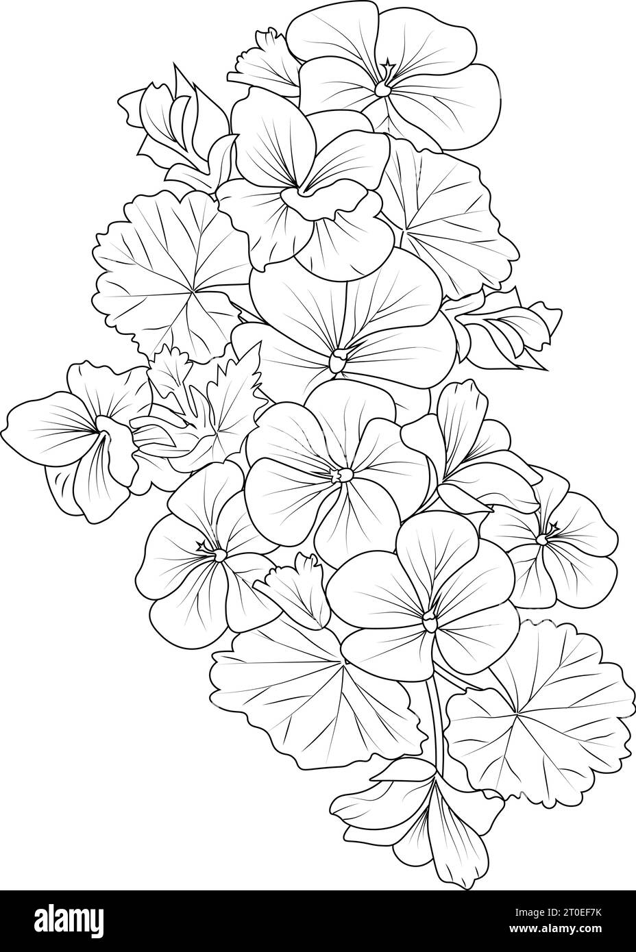 Geranium tattoo hi-res stock photography and images - Alamy