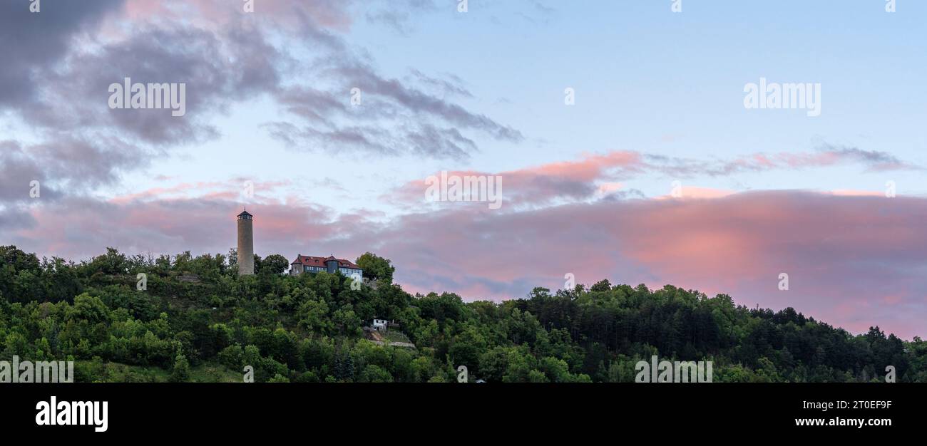 Fox in sunset hi-res stock photography and images - Alamy